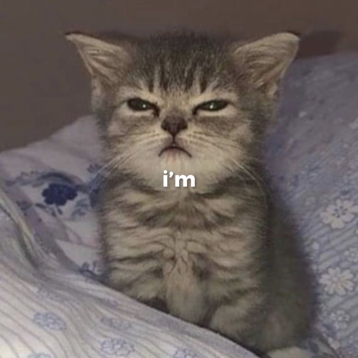 Meme Cansado - Pippit