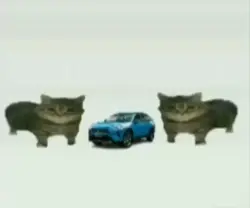 Toyota Meme: Discover the Funniest Car Memes Online