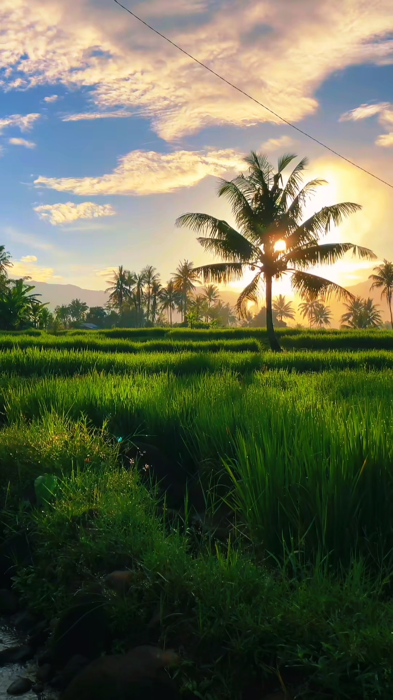 Nature Template Without Caption - Pippit