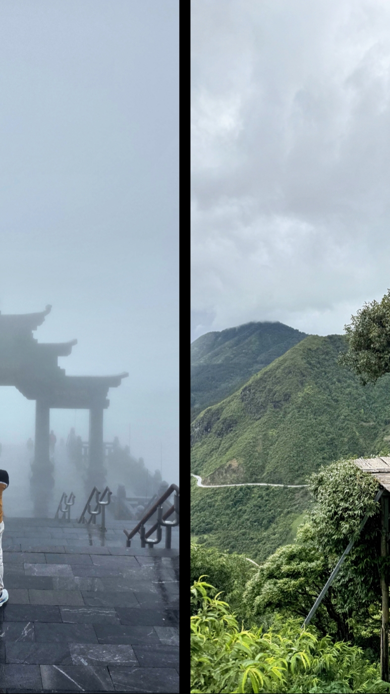 Old Film Scroll Video Template - Pippit