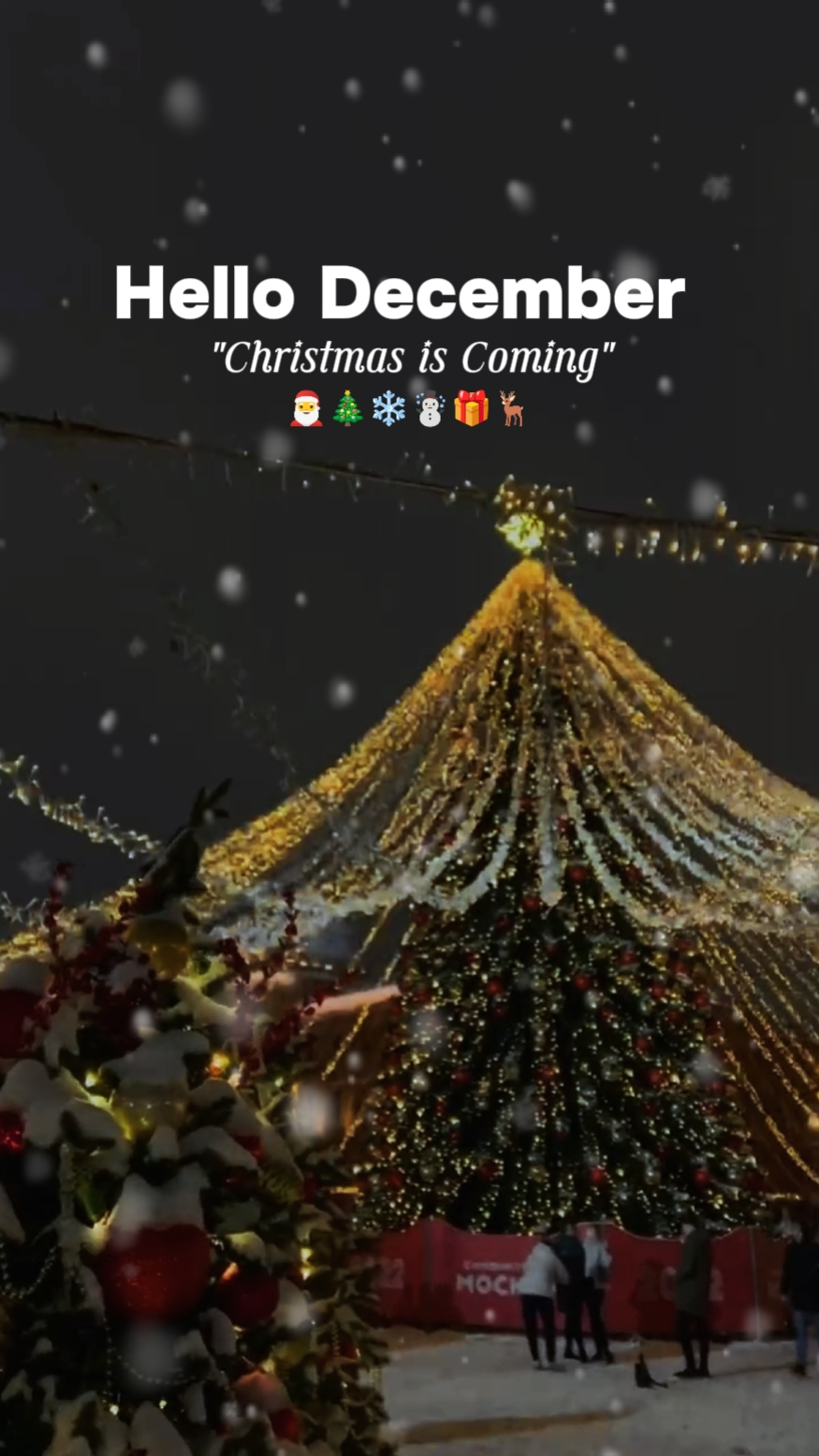 Template for a Christmas Carol Post - Pippit
