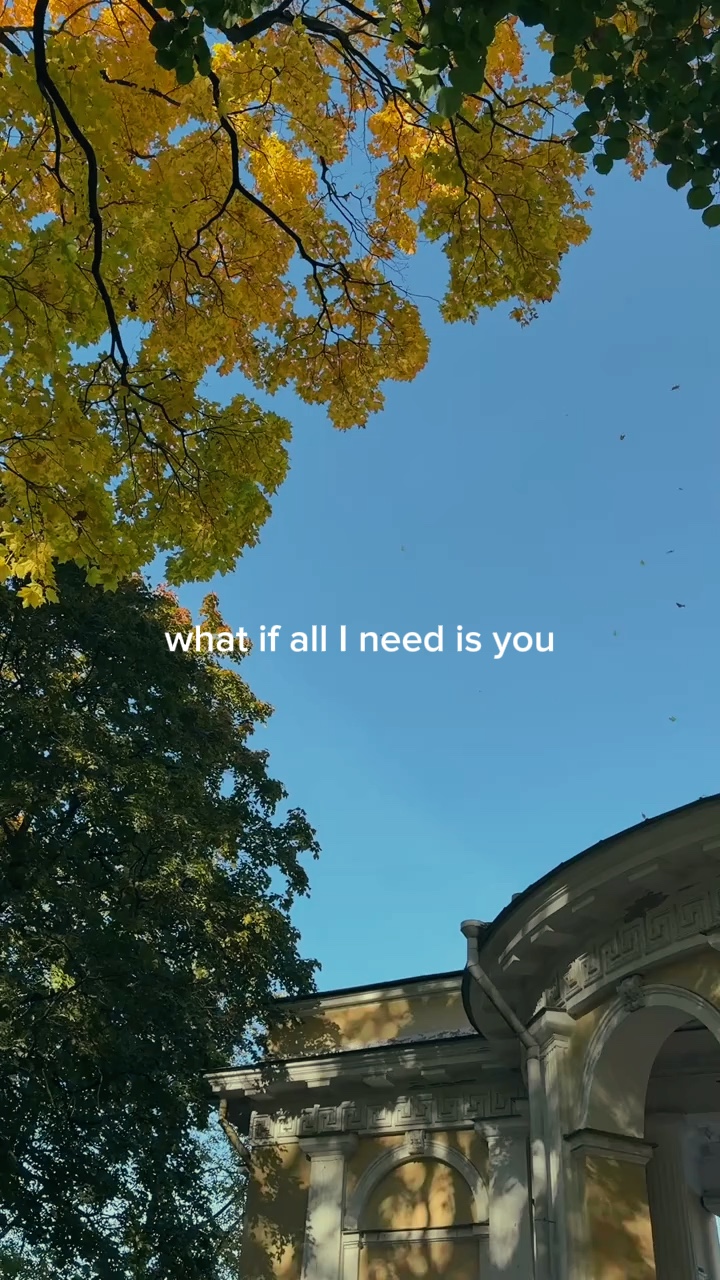 Daylight Taylor Swift Speech - Pippit