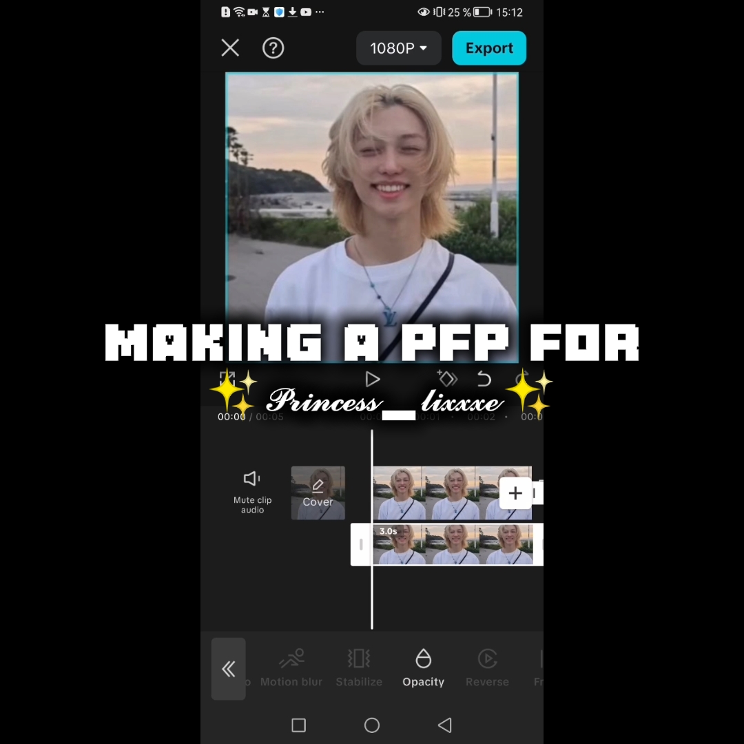 felix pfps - Pippit
