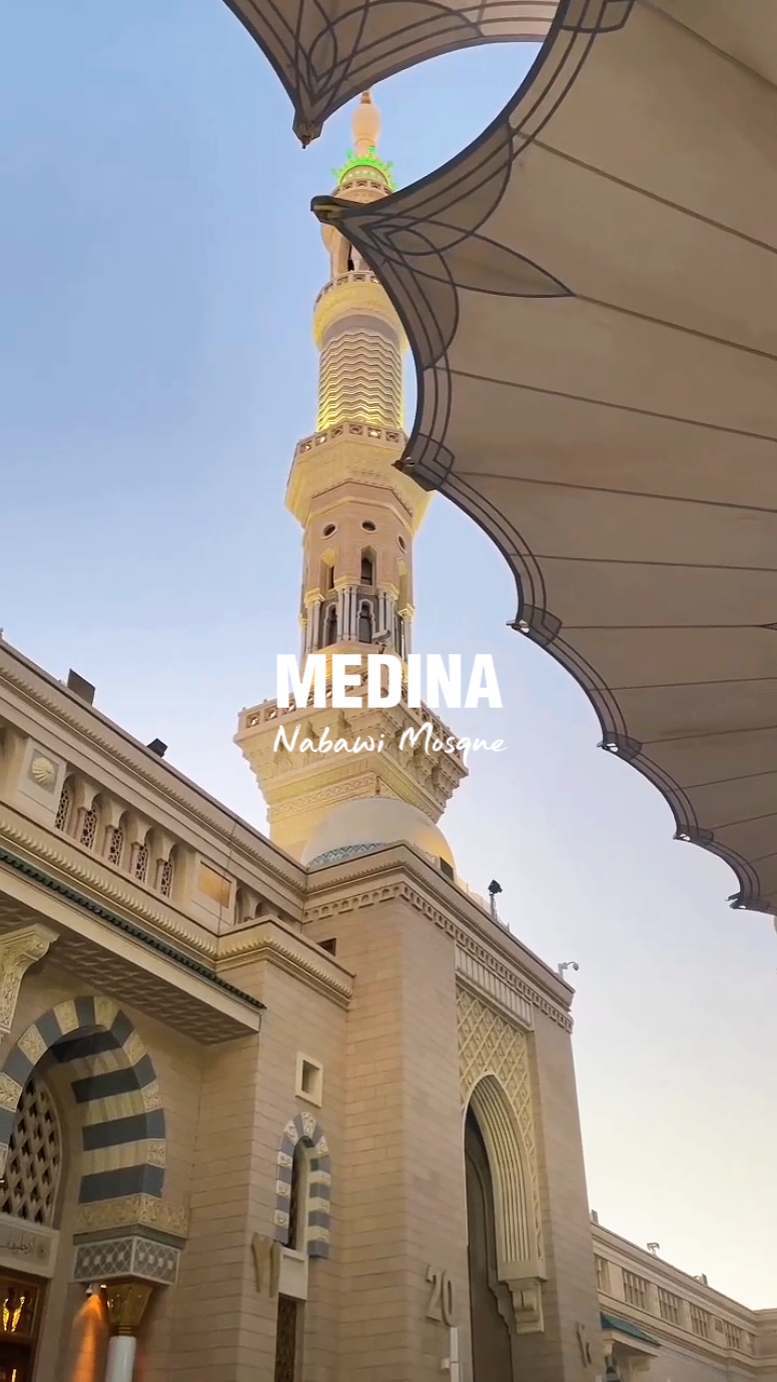 Sheikh Zayed Mosque - Pippit