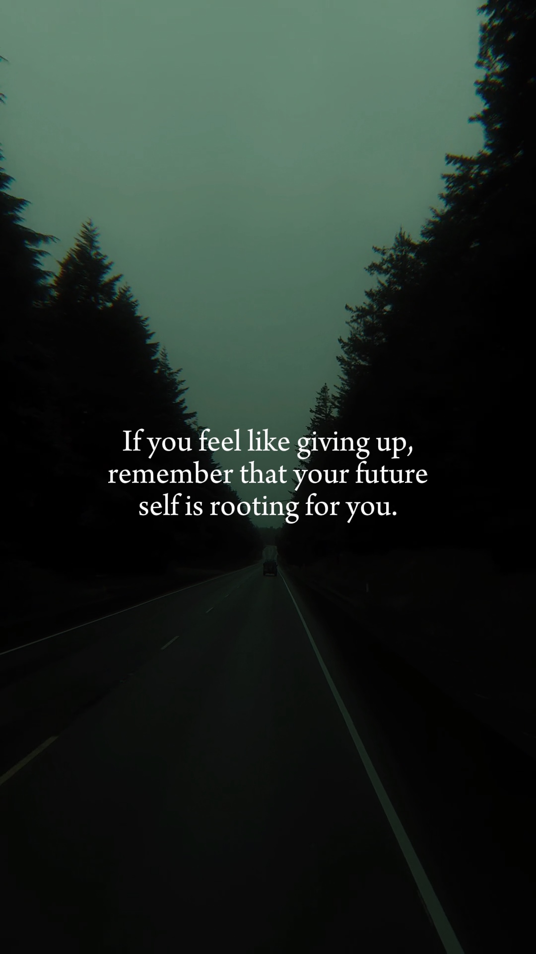 Cozy Song Text - Pippit