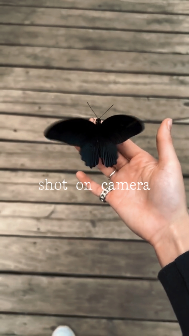 Camera Shots To Video Template - Pippit