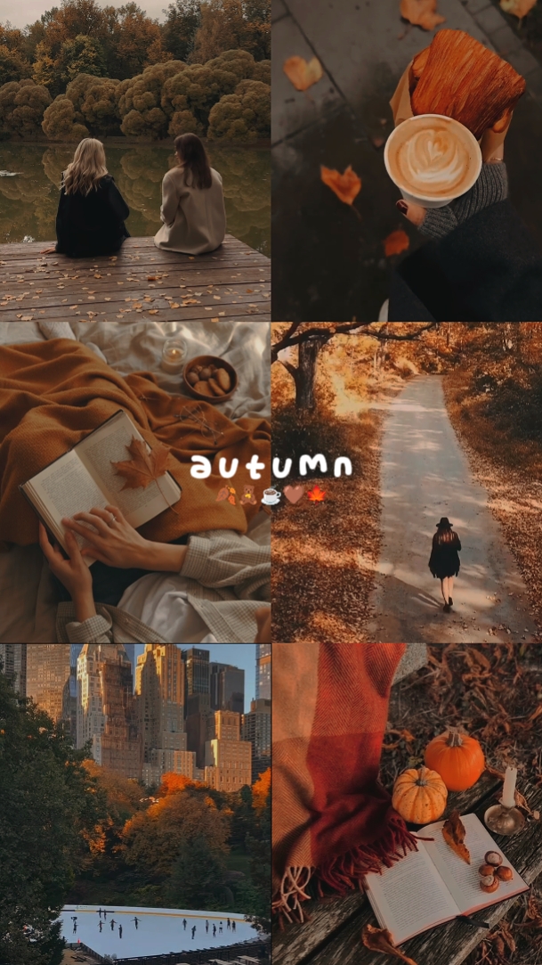 Autumn Templates for 8 Photos - Pippit