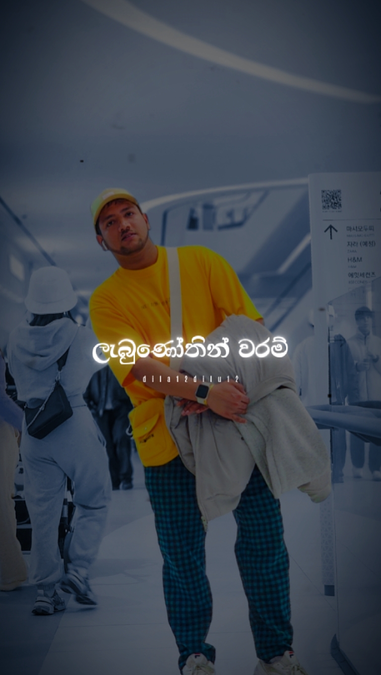 Trending Template Sinhala Lyrics - Pippit