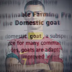 Okta Flex: Optimize Identity Management Solutions Today