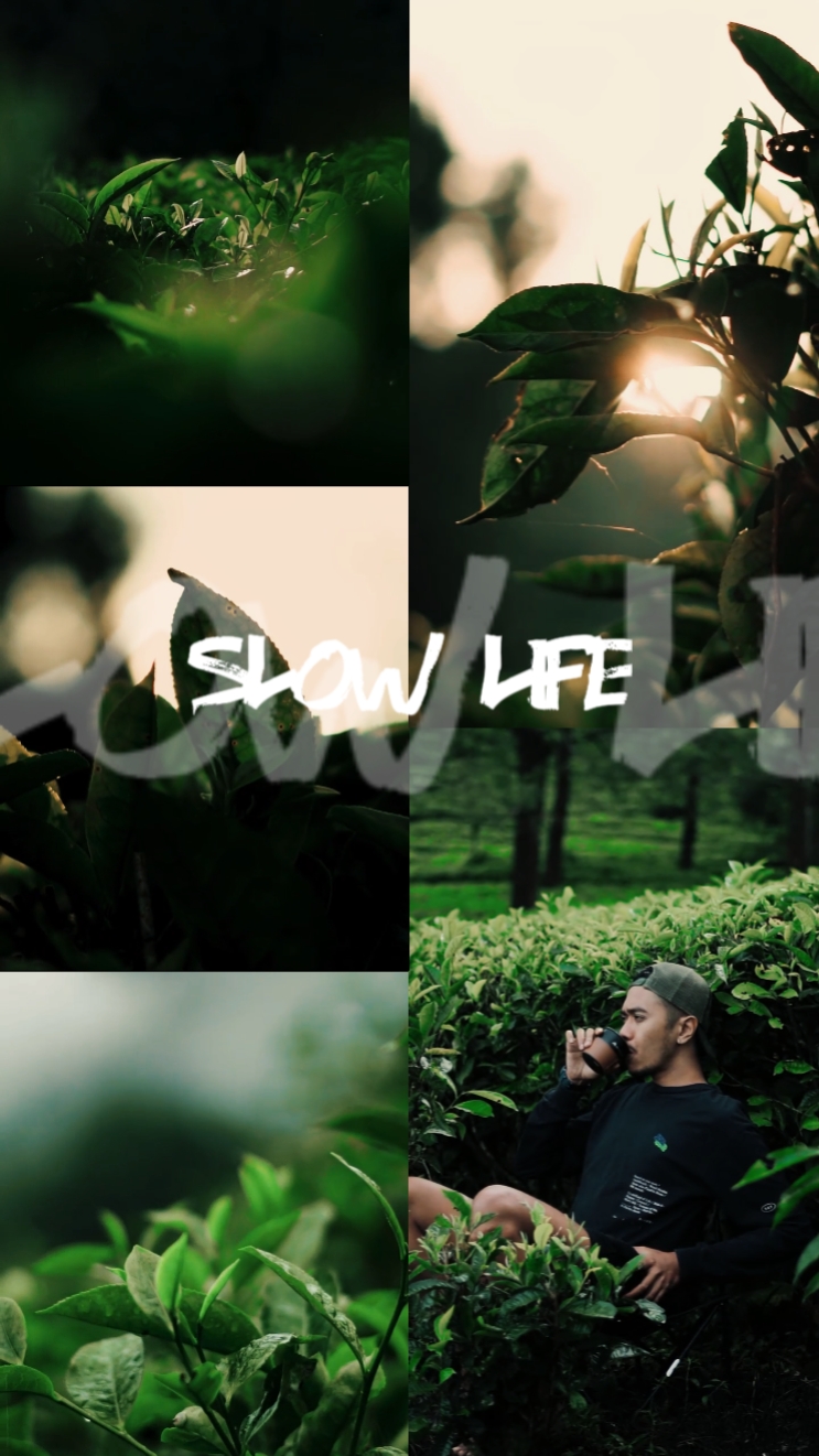 premika template cinematic - Pippit