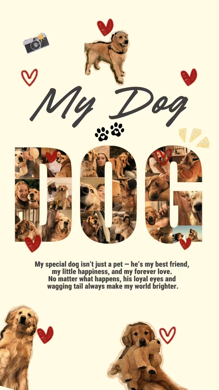 Cat Dog Edit AI - Pippit