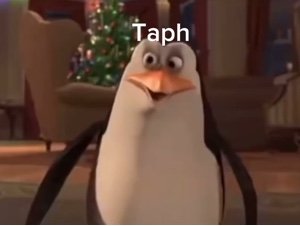 kidnnap meme - Pippit