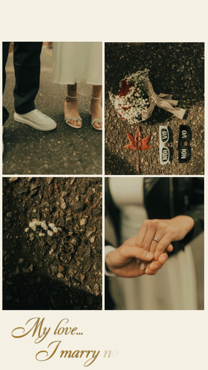 Engagement Text Templates - Pippit