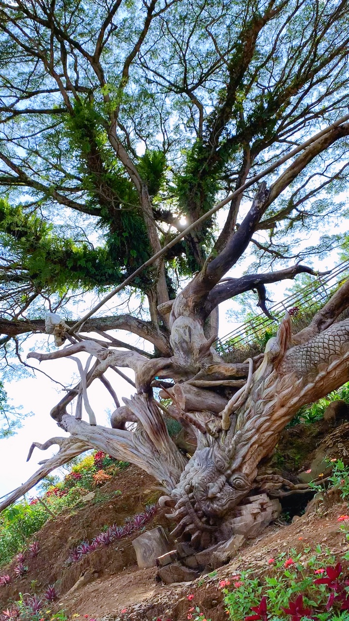 Decent Templates With Simple Music - Pippit