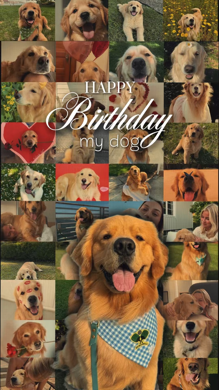 Dog's Birthday Templates for Videos - Pippit