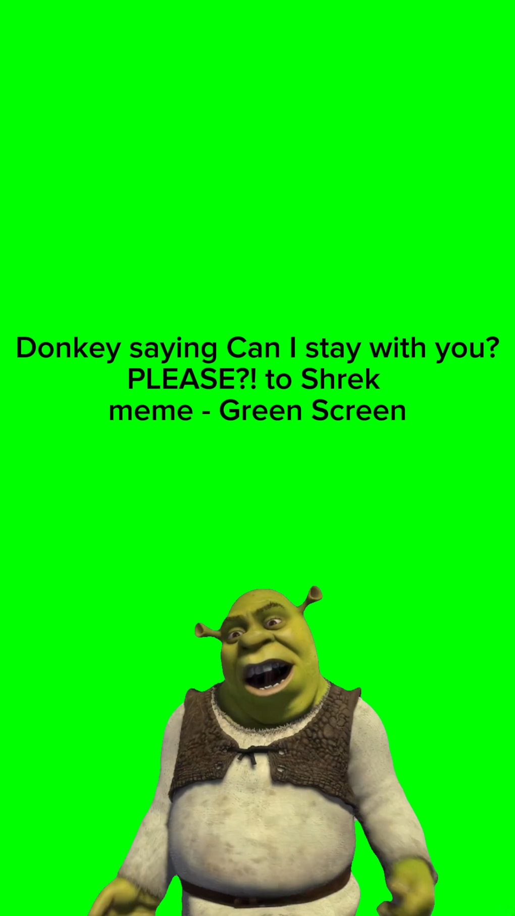 Donkey Shrek Meme - CapCut