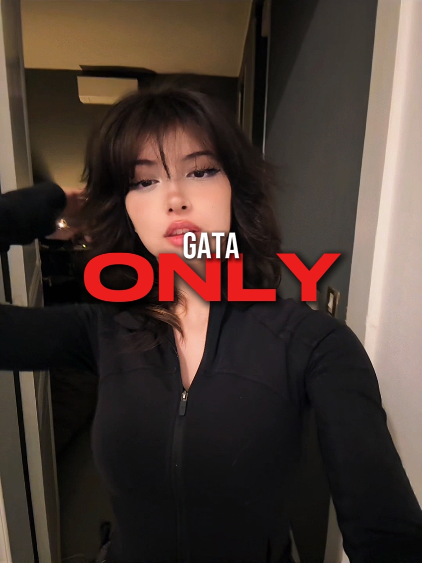 New Gota Only Templates - Pippit