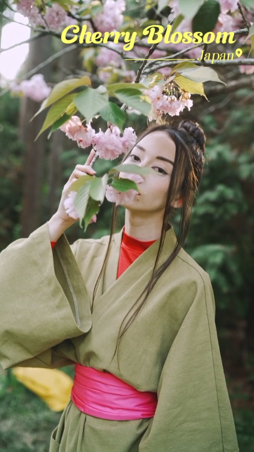 Japanese Cherry Blossom Templates - Pippit