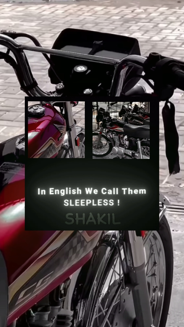 Urdu and English Lyrics Template - Pippit