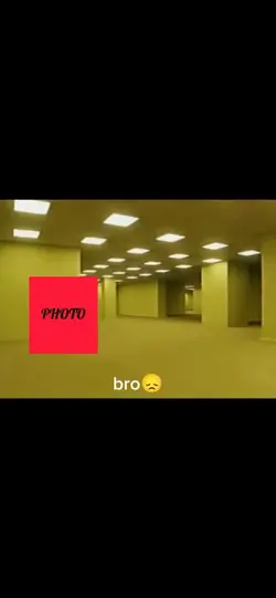 Ambatukam Meme: Discover Viral Trends and Origins Online
