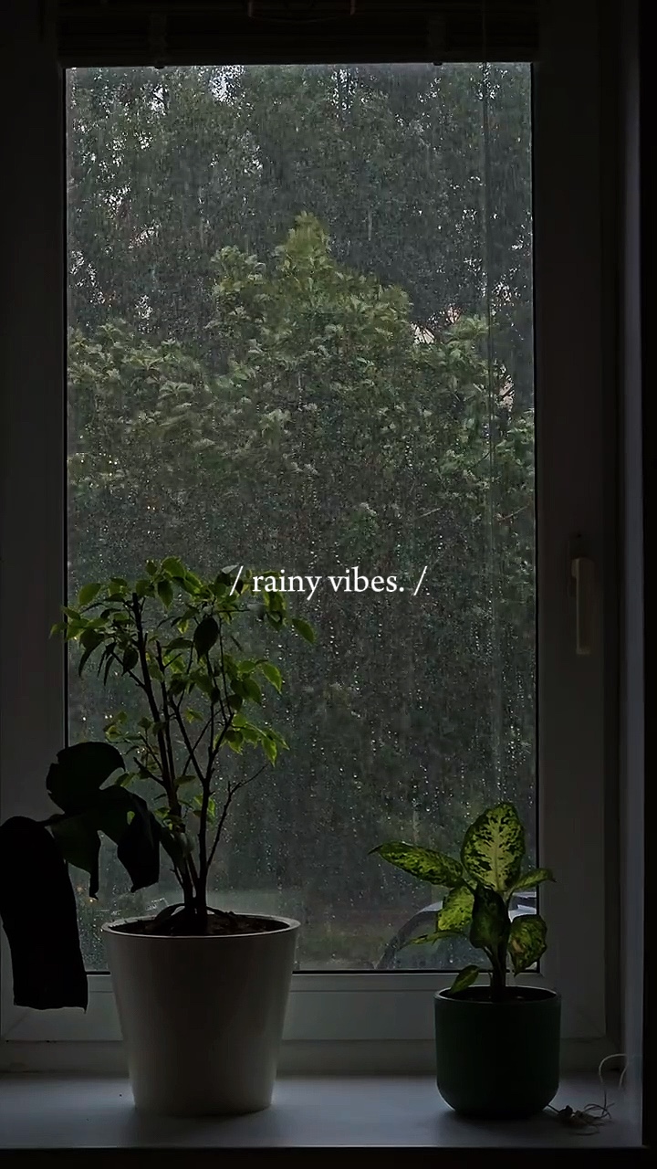 Rain Short Clips Template - Pippit