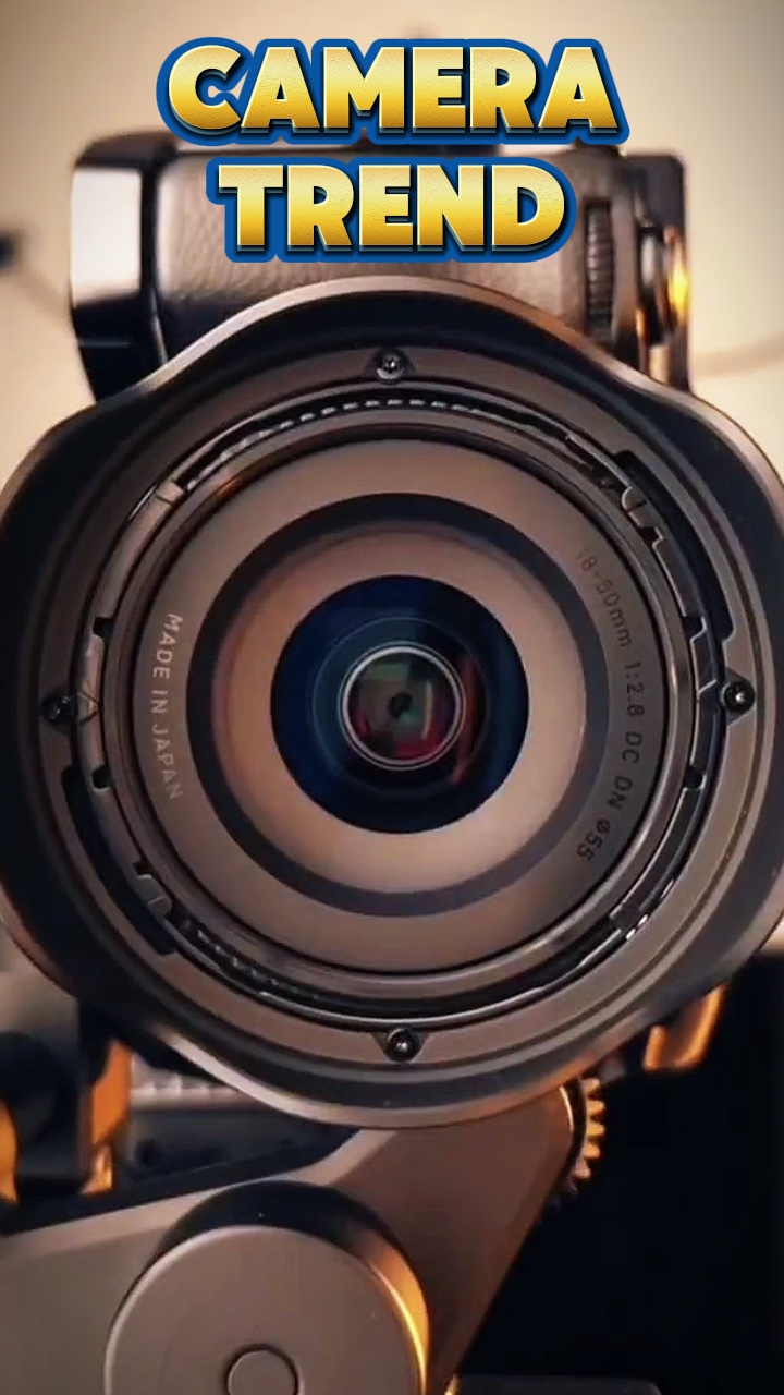 Dialogs Templates - Pippit