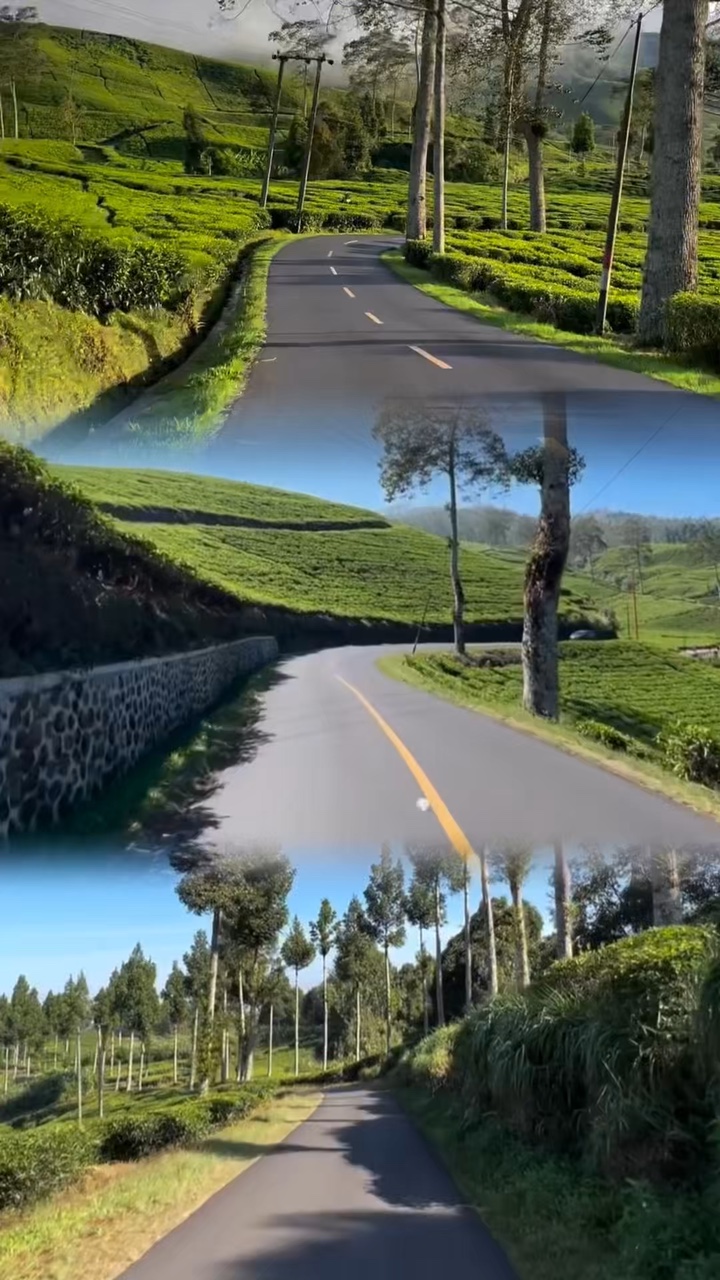 Three Screen Templates for Video - Pippit