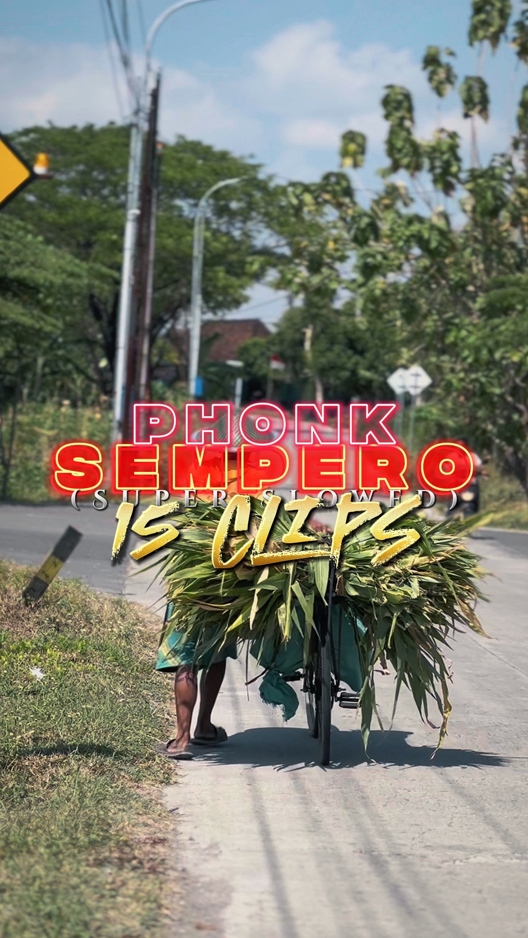 Phonk Video Template Song - Pippit