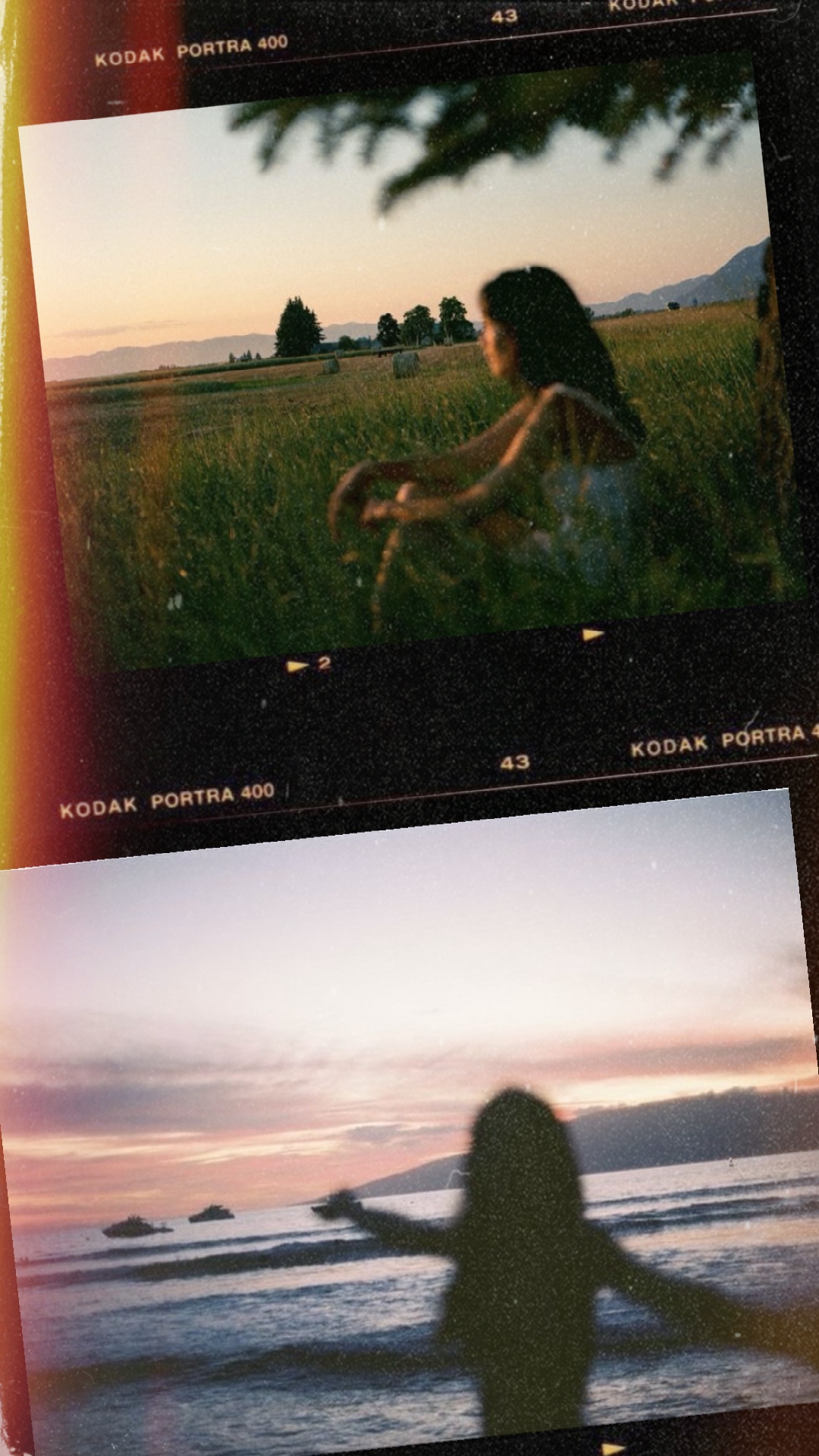 Film Picture Roll Film Filter - Pippit