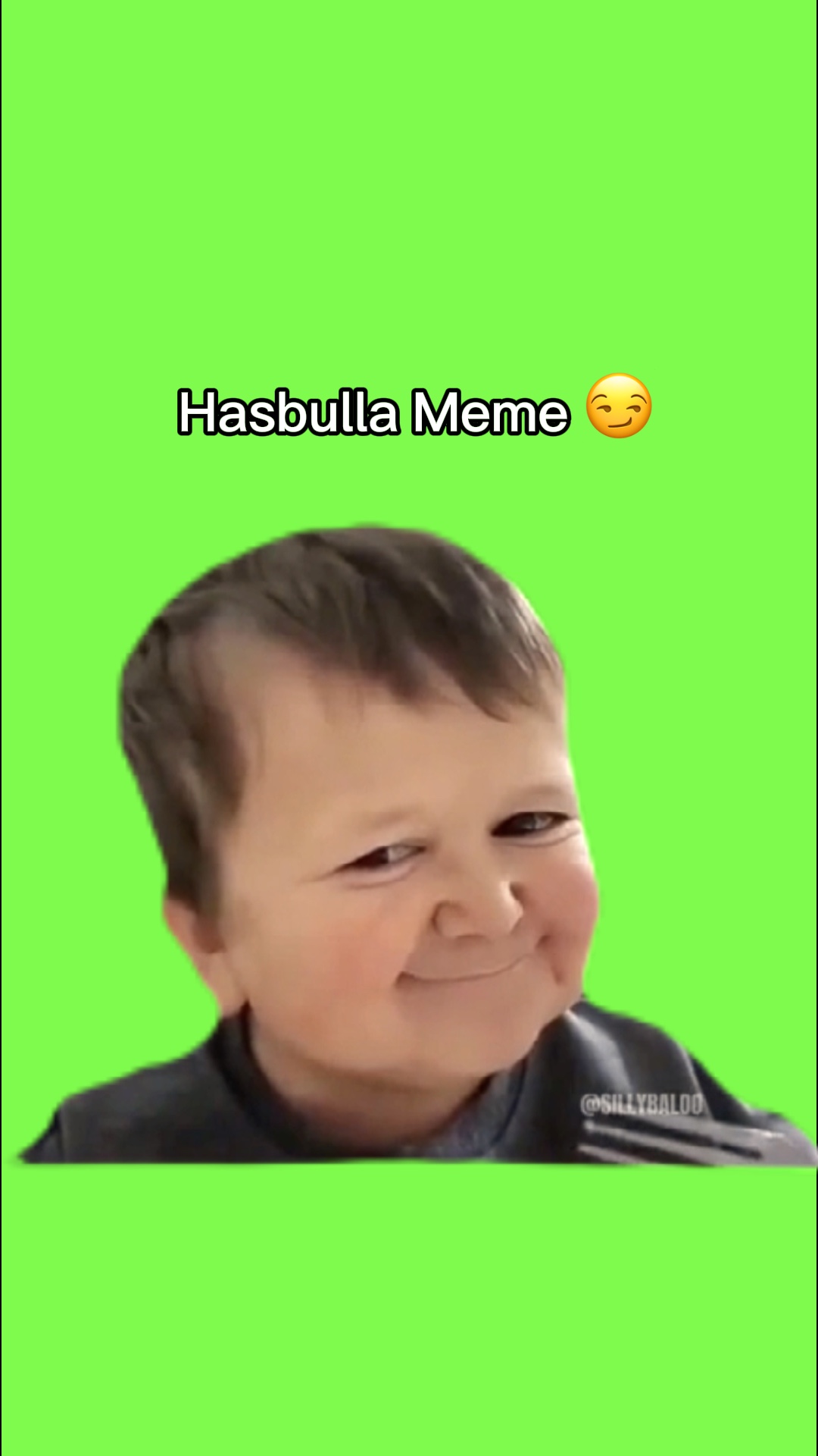 Hasbulla Meme 😏 - video template by CapCut