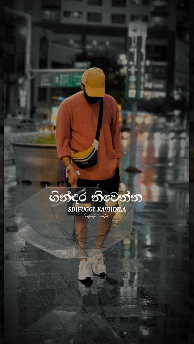 Trending Template Sinhala Lyrics - Pippit