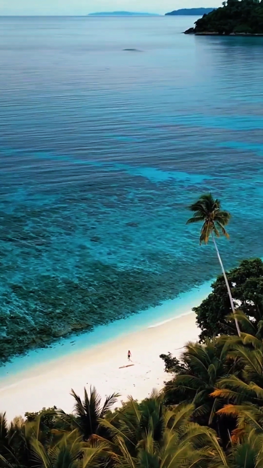 Invitación Lyna Fiesta - Pippit