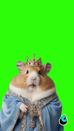 Hamster Meme: Discover Top Funny Hamster Memes Online