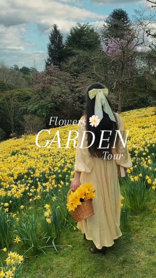 Flower Beauty Template - Pippit