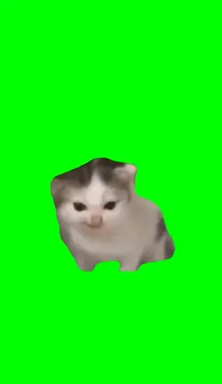 Mad Cat Meme: Discover Viral Feline Humor | CapCut - AI Tools