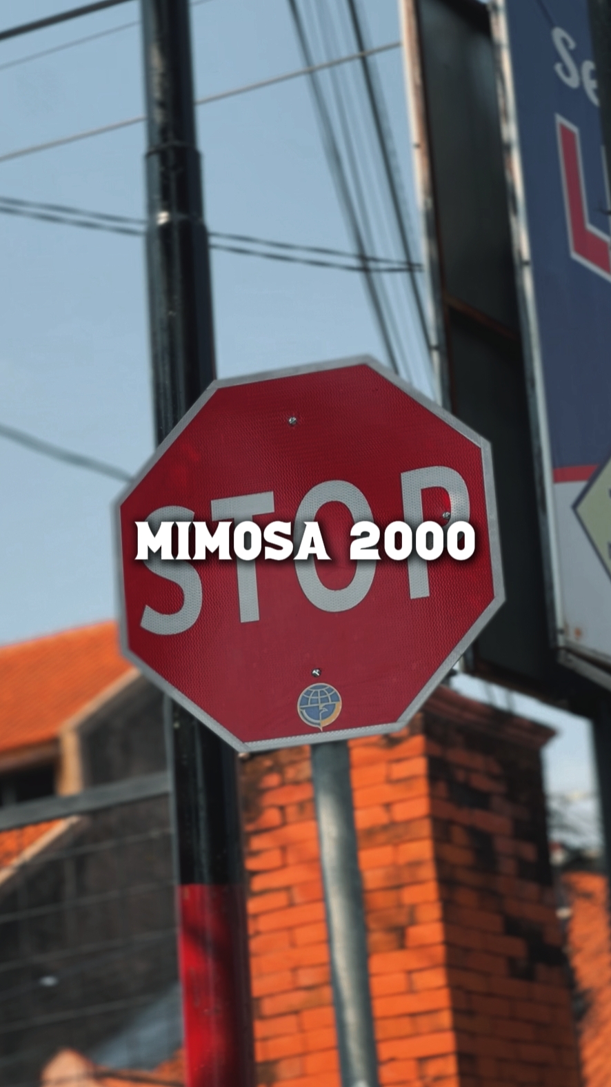 Mimosa 2000 Edit Video - Pippit
