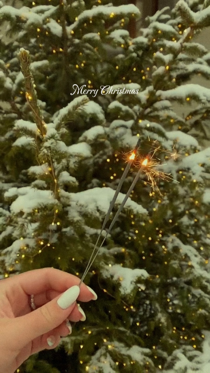 Christmas Templates 2025 12 - Pippit