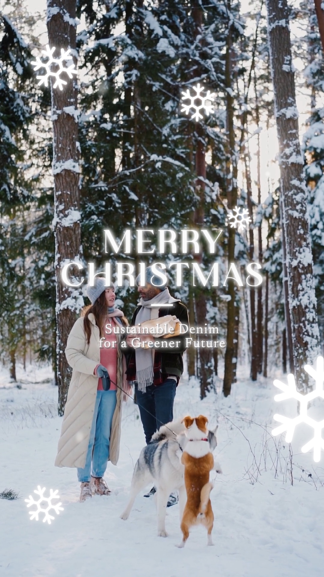 Motion Up Down Template - Pippit