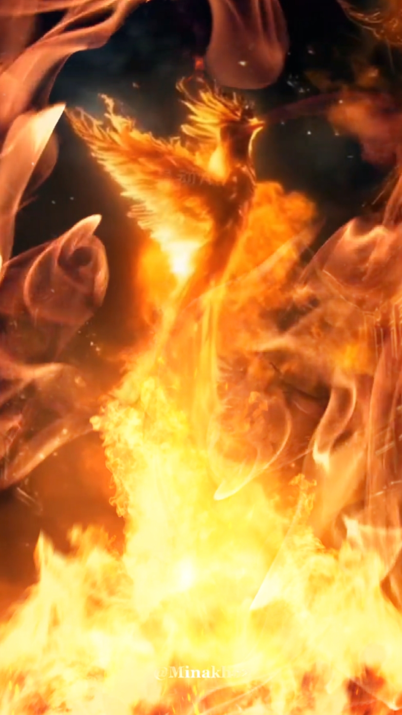 Fire Effect Meme - Pippit