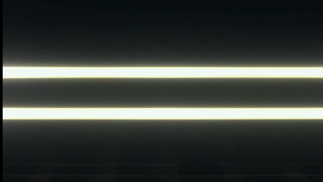 Animación Horizontal - Pippit