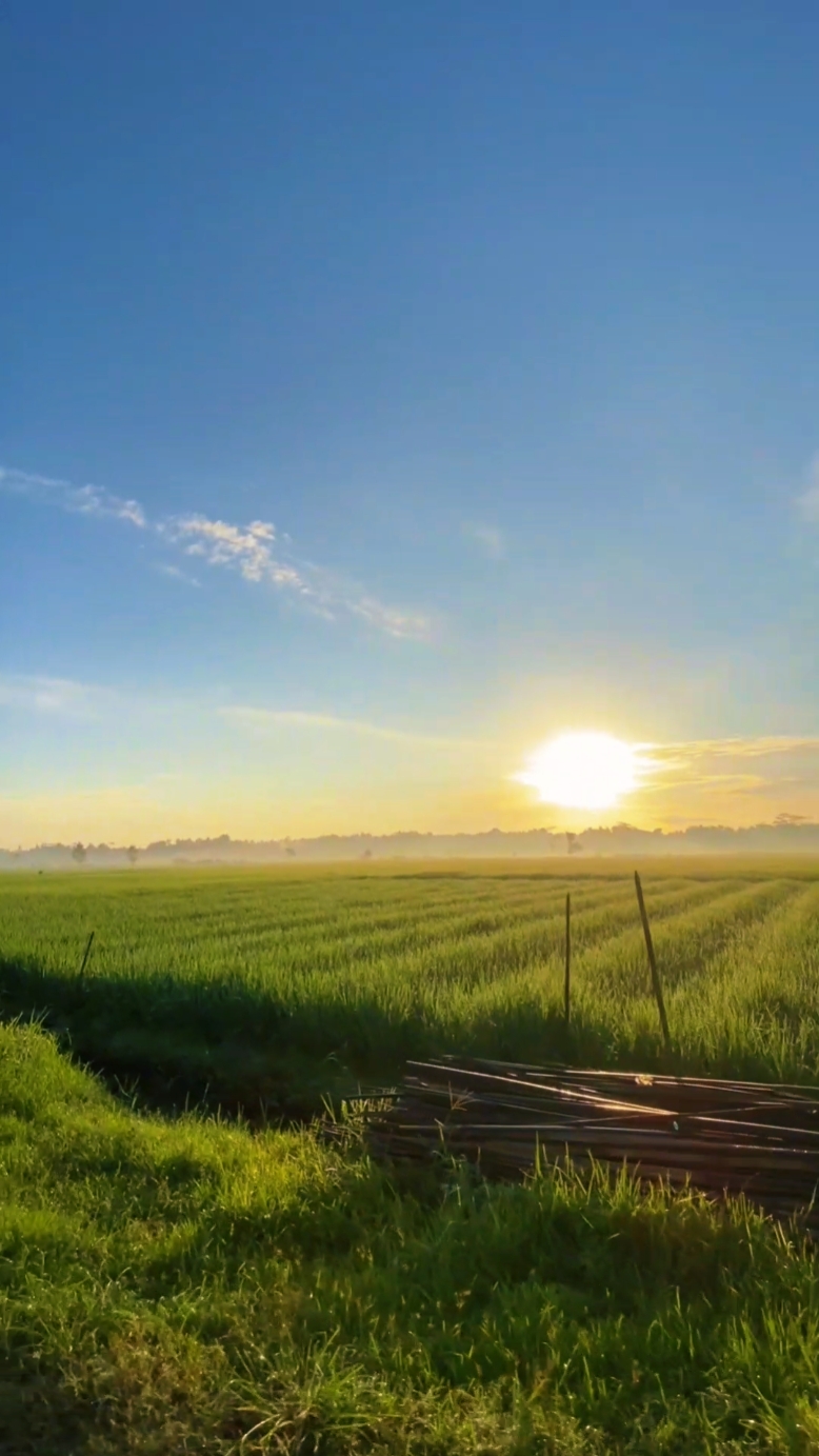 28 Seconds Video With Slow Motion Templates - Pippit