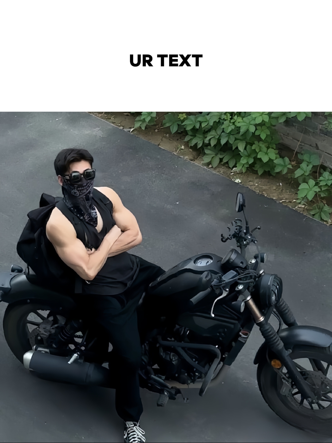 Vorlage mit Text einfügen - Pippit