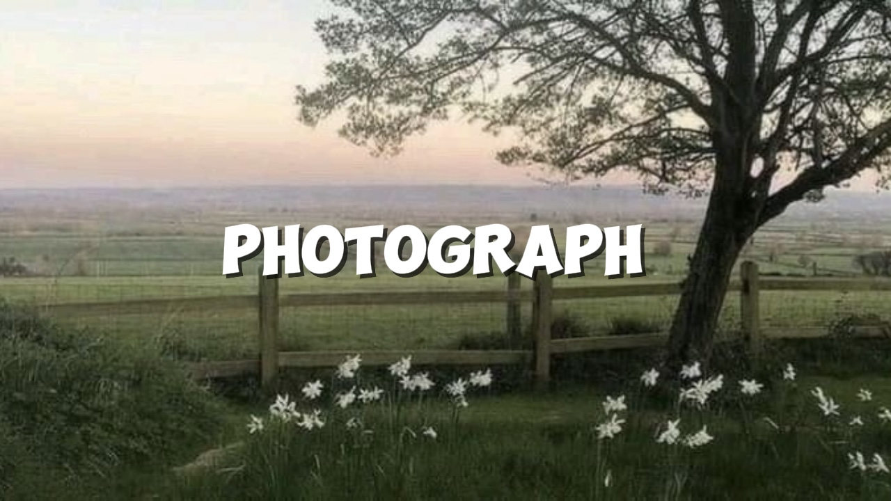 trending capcut template horizontal - Pippit