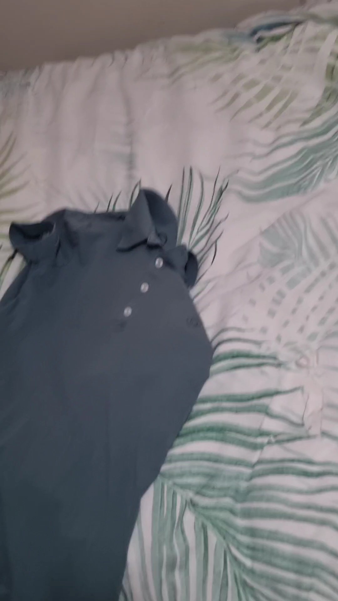 321 countdown - Pippit