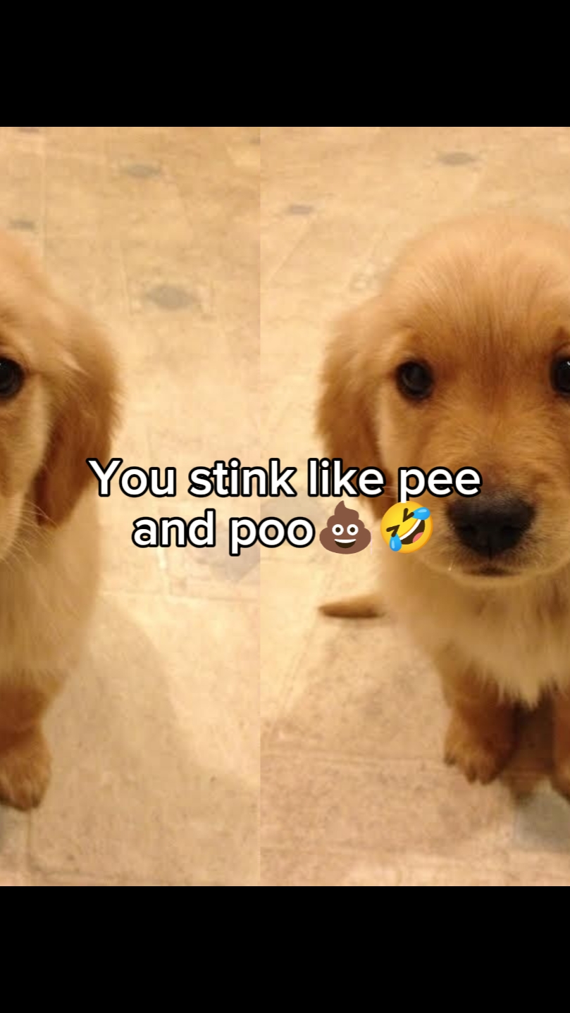 Funny Free Templates Kids Core - Pippit