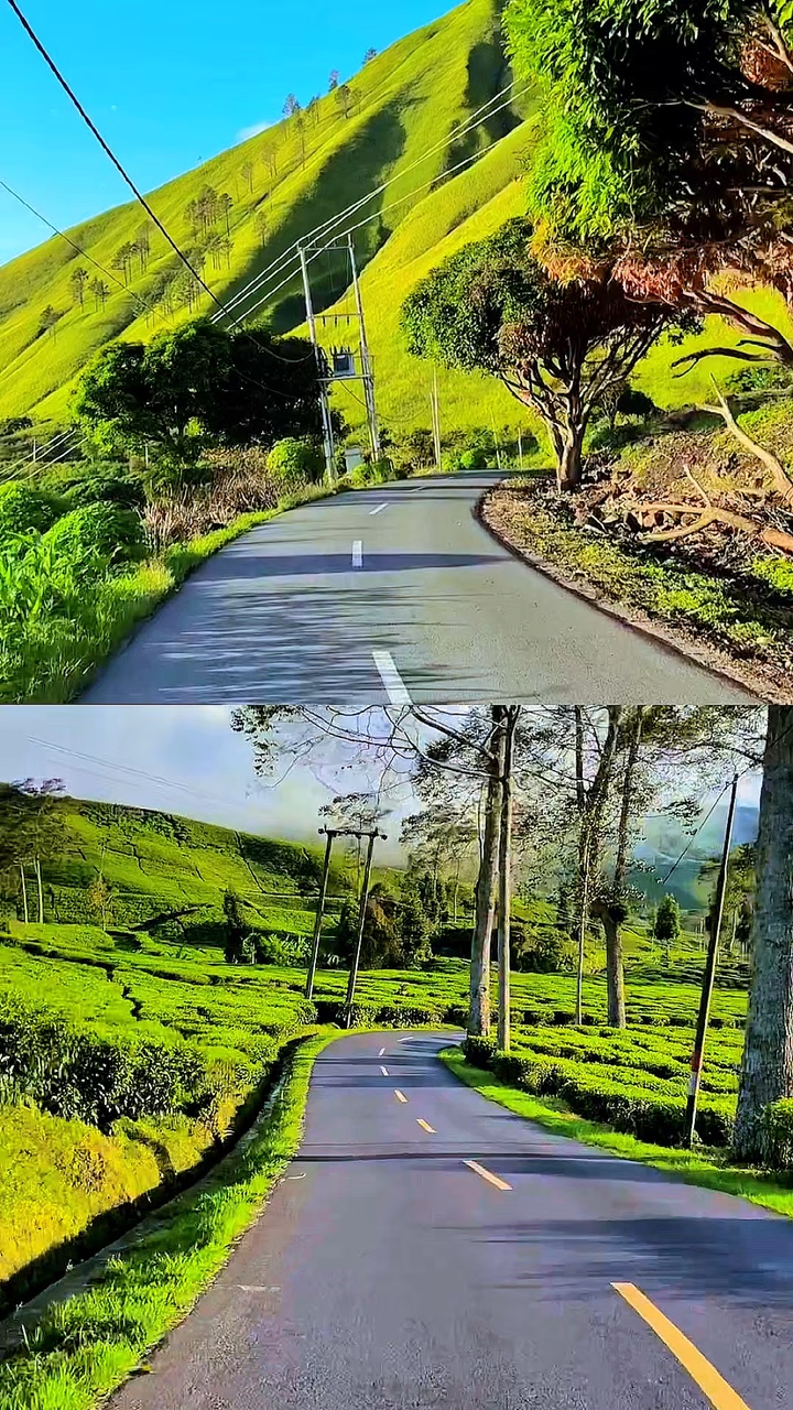 Split Screen Vorlage - Pippit