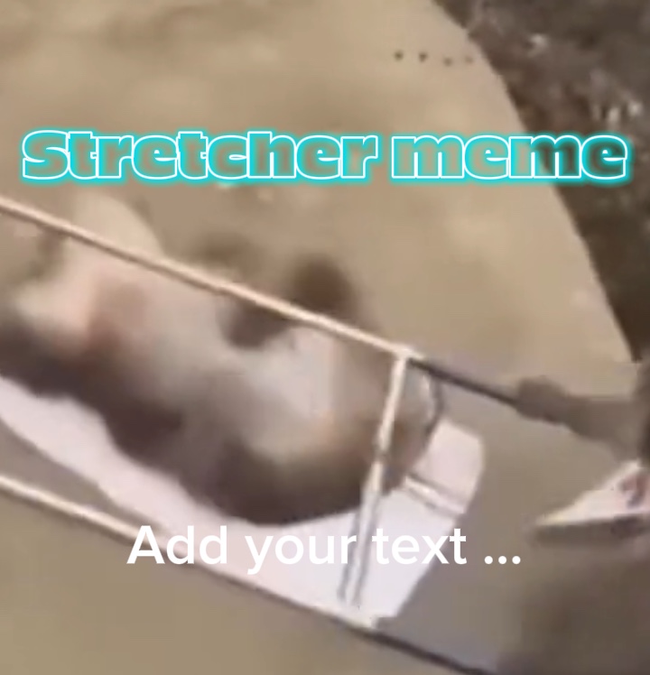 stretched memes - Pippit