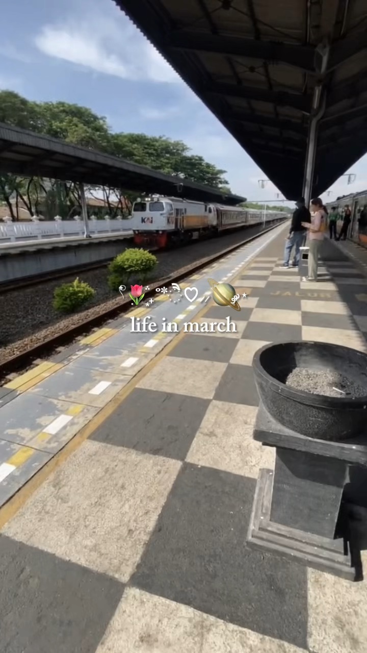 Free Photo and Video Dump Templates - Pippit