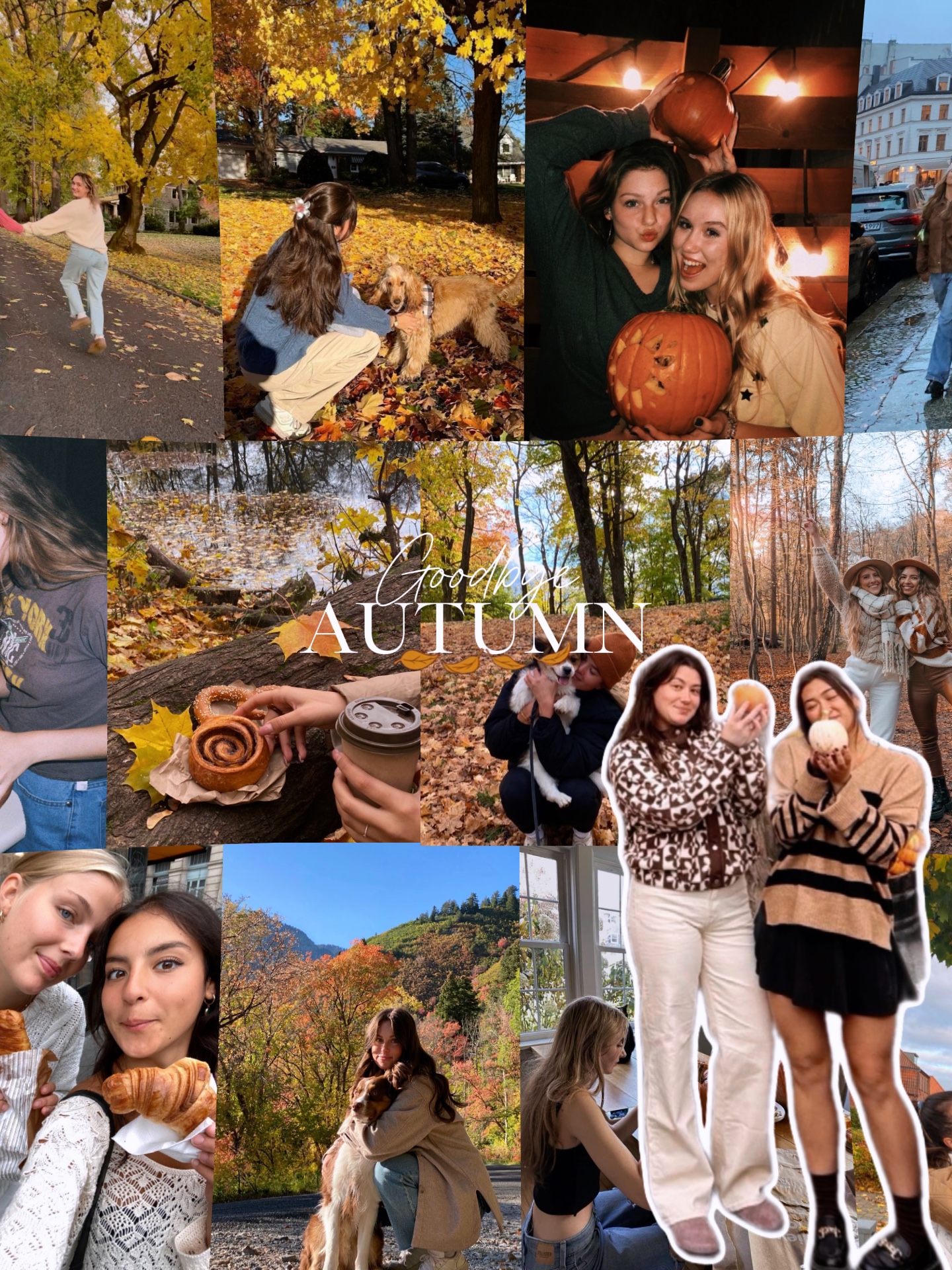 Goodbye Autumn Hello Winter - Pippit