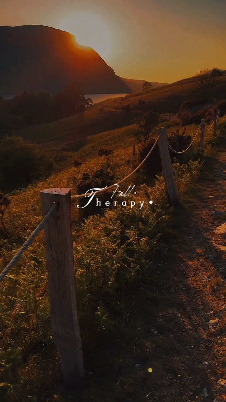 30 Cinematic Night Video Night View Templates - Pippit